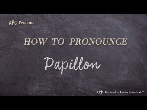 How to Pronounce Papillon (Real Life Examples!)