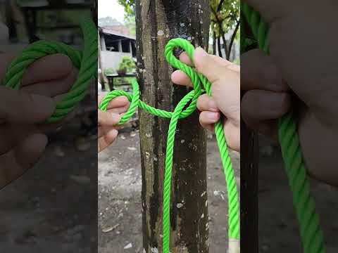 Popular Knots! Which is very easy, fast, and reliable!