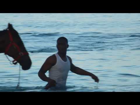 Videos – Cameron Hammer