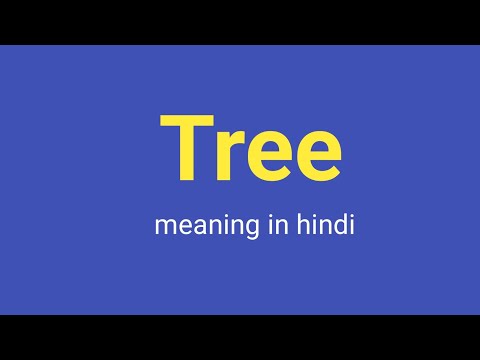 Tree meaning in hindi||tree ko hindi mein kya kahte hain || #english #viral #youtube