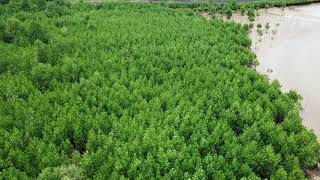 Accelerating Climate Action & NDC Implementation : NDC Partnership ...