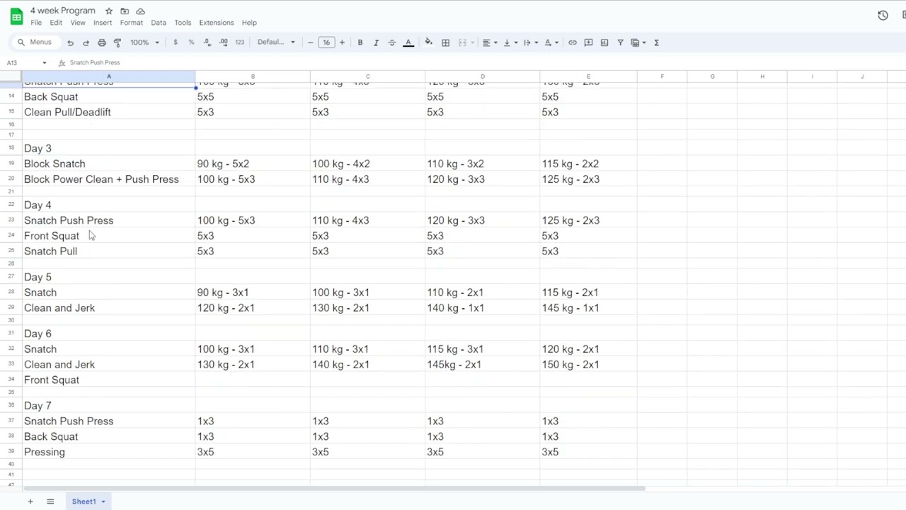 4 week Training Program Explanation