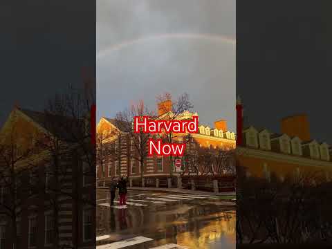 Colors of Harvard 🌈 #harvard #college #rainbow #admission #acceptance #yale #campuslife #campustour