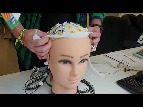 Rekine - EUROBENCH FSTP2 Project