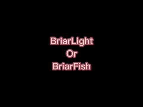 Tell Your Friend Who Hasn't Read Warrior Cats: Guess the Suffix (The Second Word) (Pause if Needed)