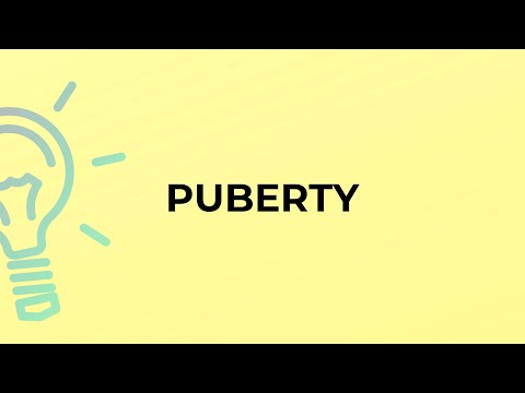 What is the meaning of the word PUBERTY?