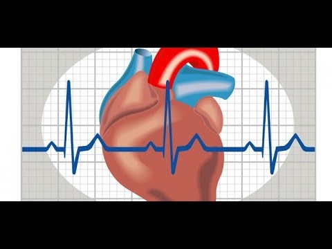 Können Sie Tachykardie erkennen und verhindern? | Gesundheit