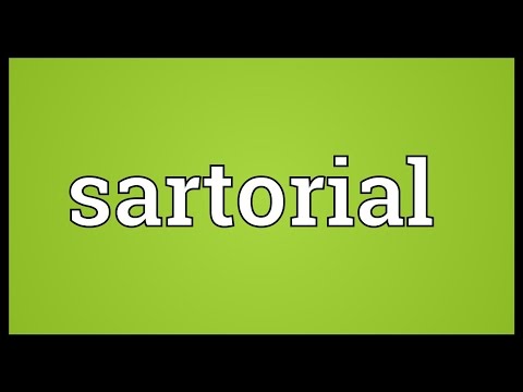 Sartorial Meaning
