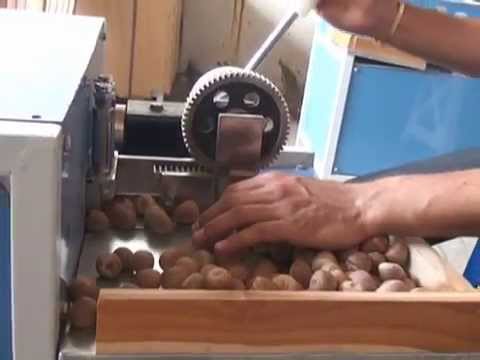 Supari Cutting Machine - Areca Nut Cutting Machine Latest Price ...