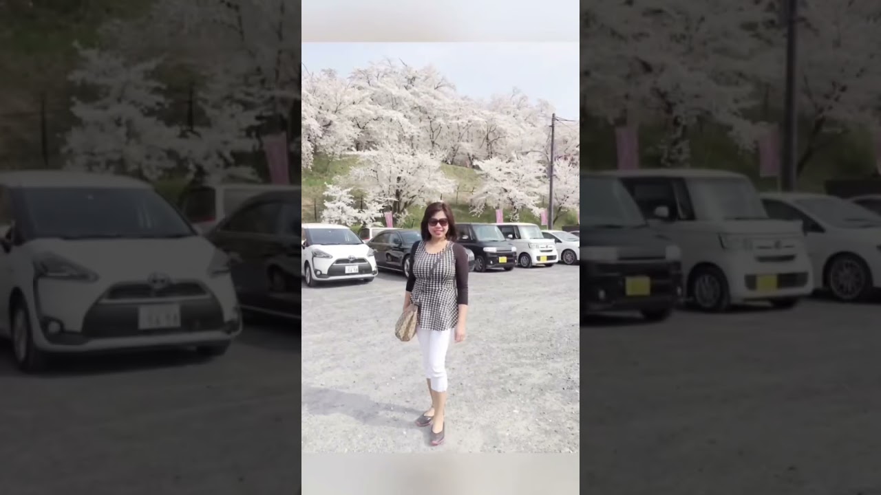 JAPAN TRAVEL | CHERRY BLOSSOM  #Japan #Cherryblossom | #Shorts