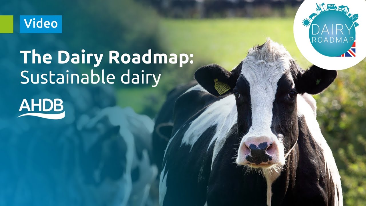 The Dairy Roadmap: Sustainable dairy