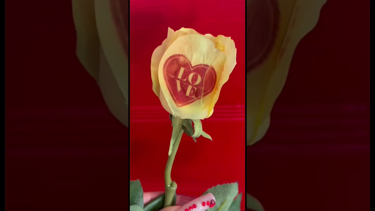 Printing on flowers/valentine/love https://www.etsy.com/shop/MyLifeOnTheHill