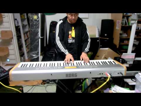 Rare High-end Professional Digital Studio Stage Piano KORG | Reverb