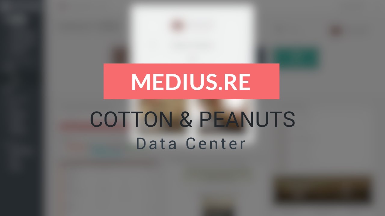 Medius.Re - Auburn - Peanut Data Center