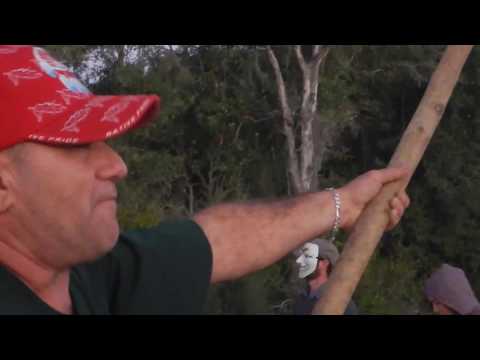Protectors at Sabal Trail Pipeline site in Branford, Florida