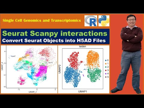 Convert Seurat Objects to H5AD Files for Python RNA Analysis | Seurat ...