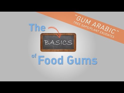 Gum Arabic - The Basics of Food Gums