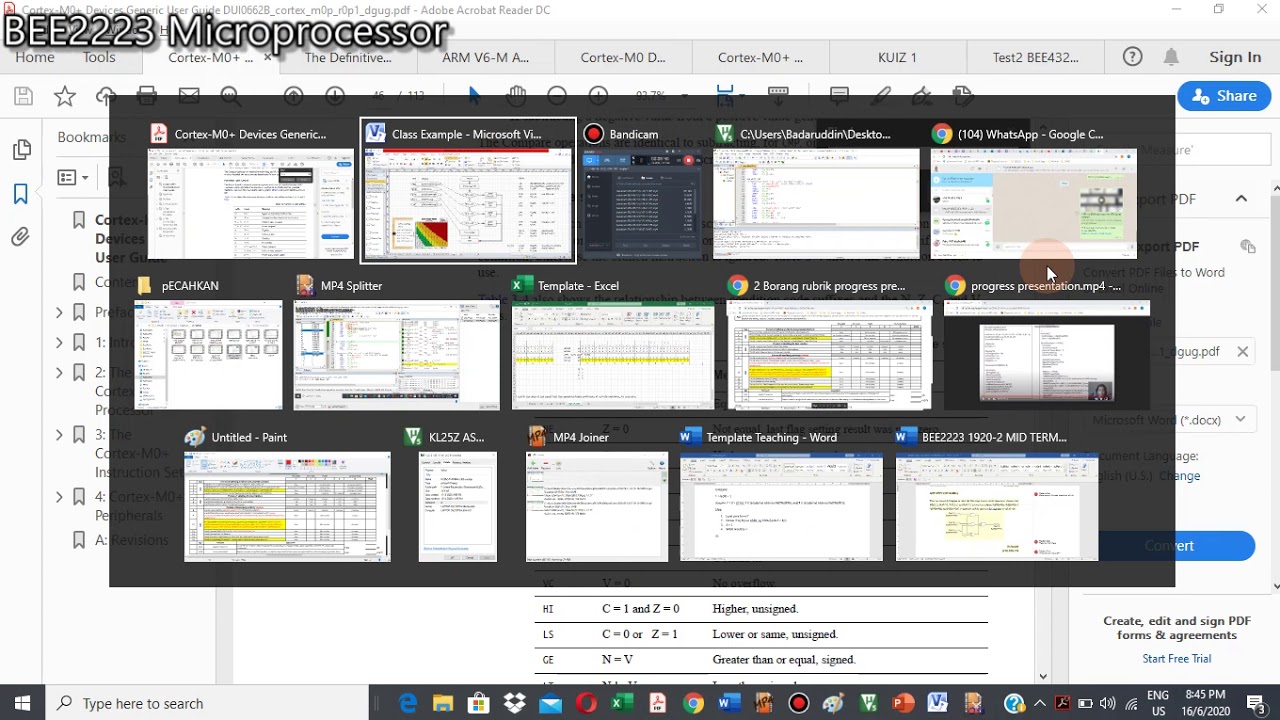 Bcc Instructions for ARM Cortex M0/M0+