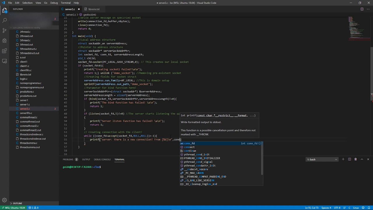 [C] Simple Client-Server program.