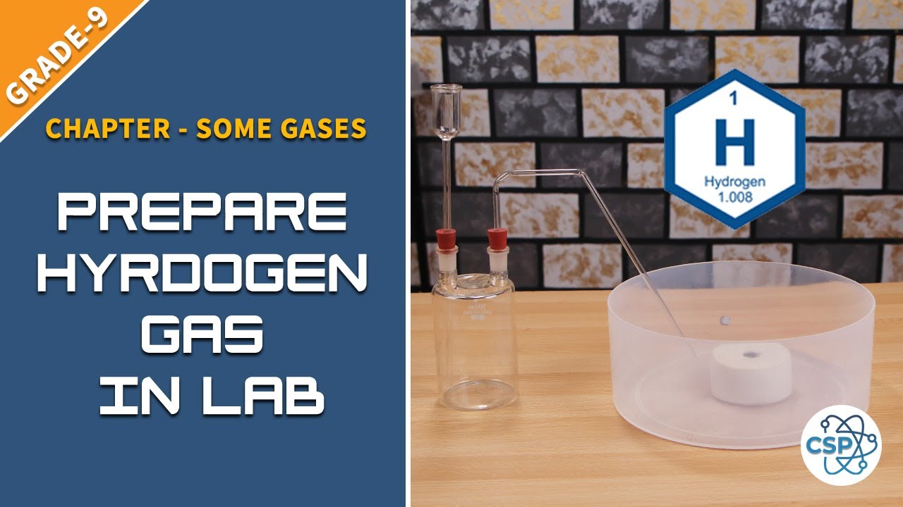 To Prepare Hydrogen Gas in Laboratory | NEB Class-9
