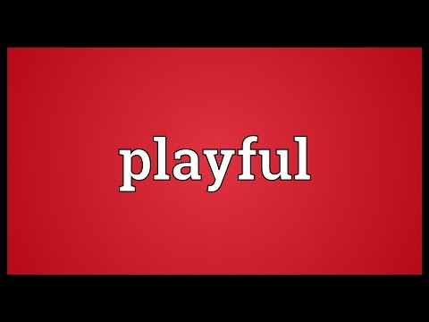 Playful Meaning