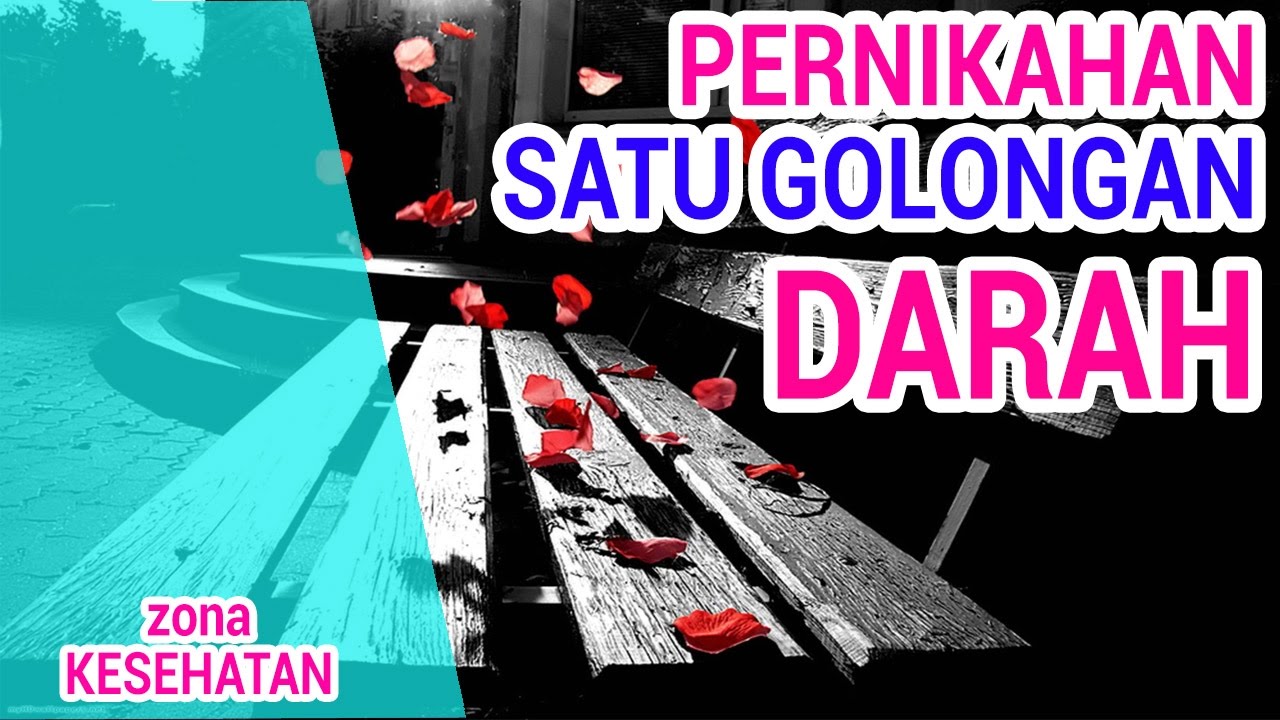 MITOS ATAU FAKTA | Bahaya Pernikahan Golongan Darah Sama??? - ZONA KESEHATAN