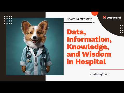 Data, Information, Knowledge, and Wisdom in Hospital - Research Paper Example