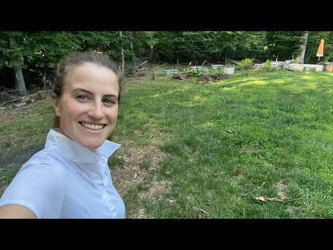 Se préparer à une vague de chaleur | VLOG Jardin
