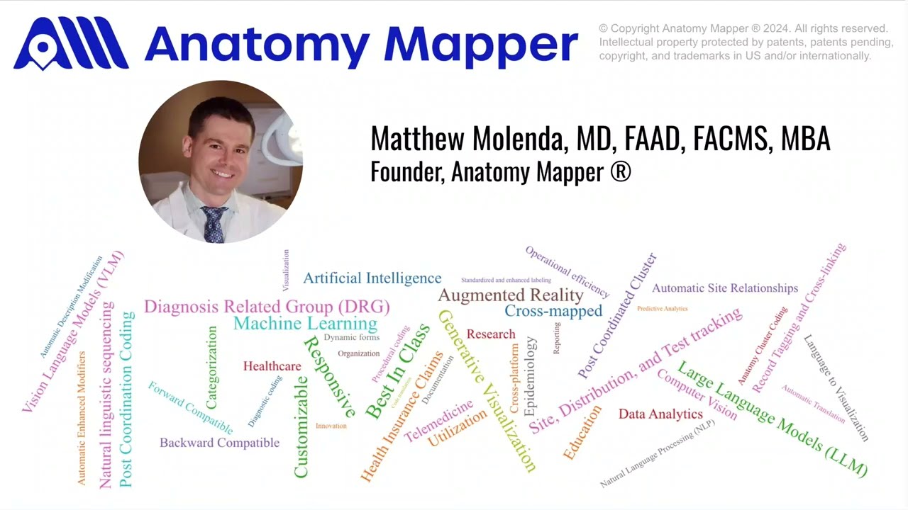 Anatomy Mapper education version