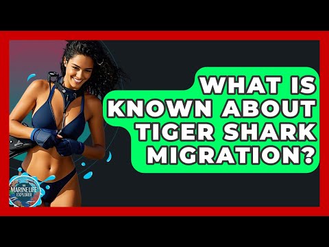 What Is Known About Tiger Shark Migration? - The Marine Life Explorer