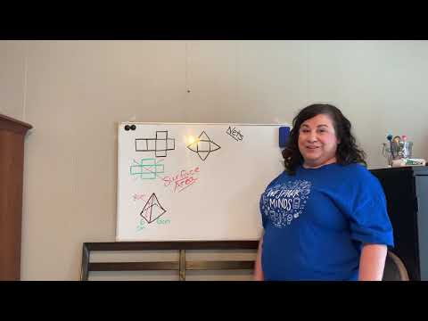 6th Grade Nets and Surface Area