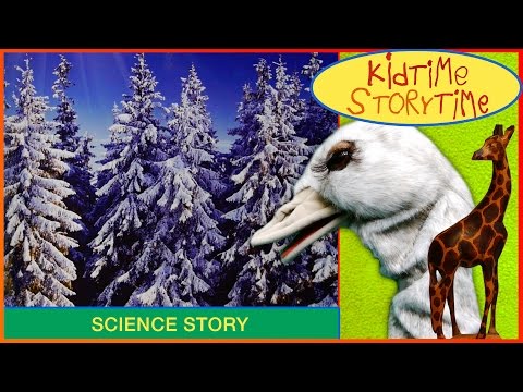 How Do You Know It's Winter? READ ALOUD