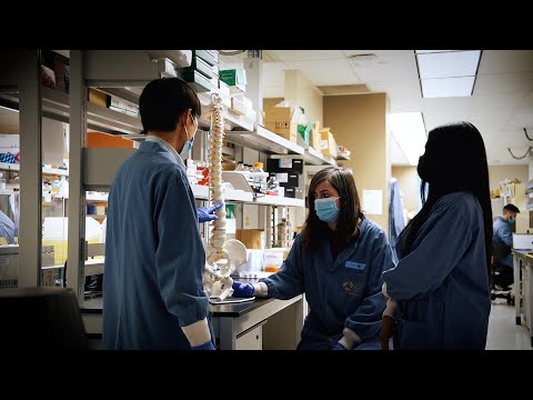 Homing in on a Target: Finding New Ways to Treat Arthritis of the Spine