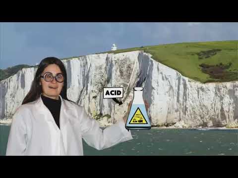 BBC Bitesize Science