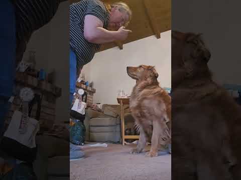 DSA - Manners - Crystal on her side