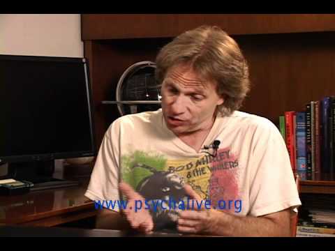 Dr. Sheldon Solomon on Terror Management Theory
