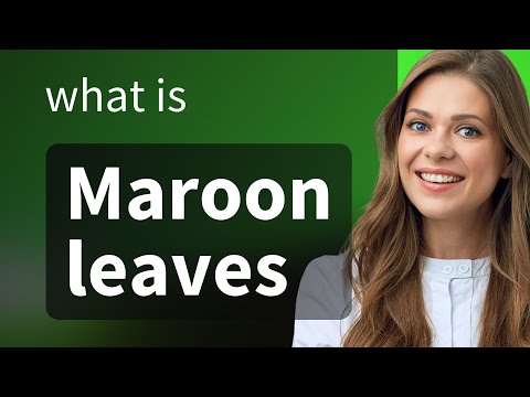 Maroon Leaves: Unraveling the Mystery