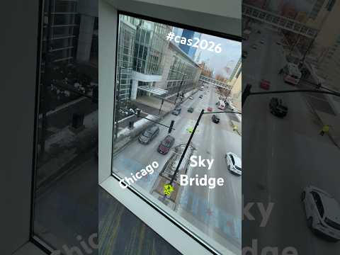 CHICAGO MCCORMICK PLACE SKY BRIDGE HYATT REGENCY HOTEL AUTO SHOW 2026 # ...