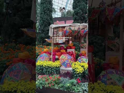 Hextar World Mall arrives Nov 2025 in PJ with Olympic-sized ice rink ...