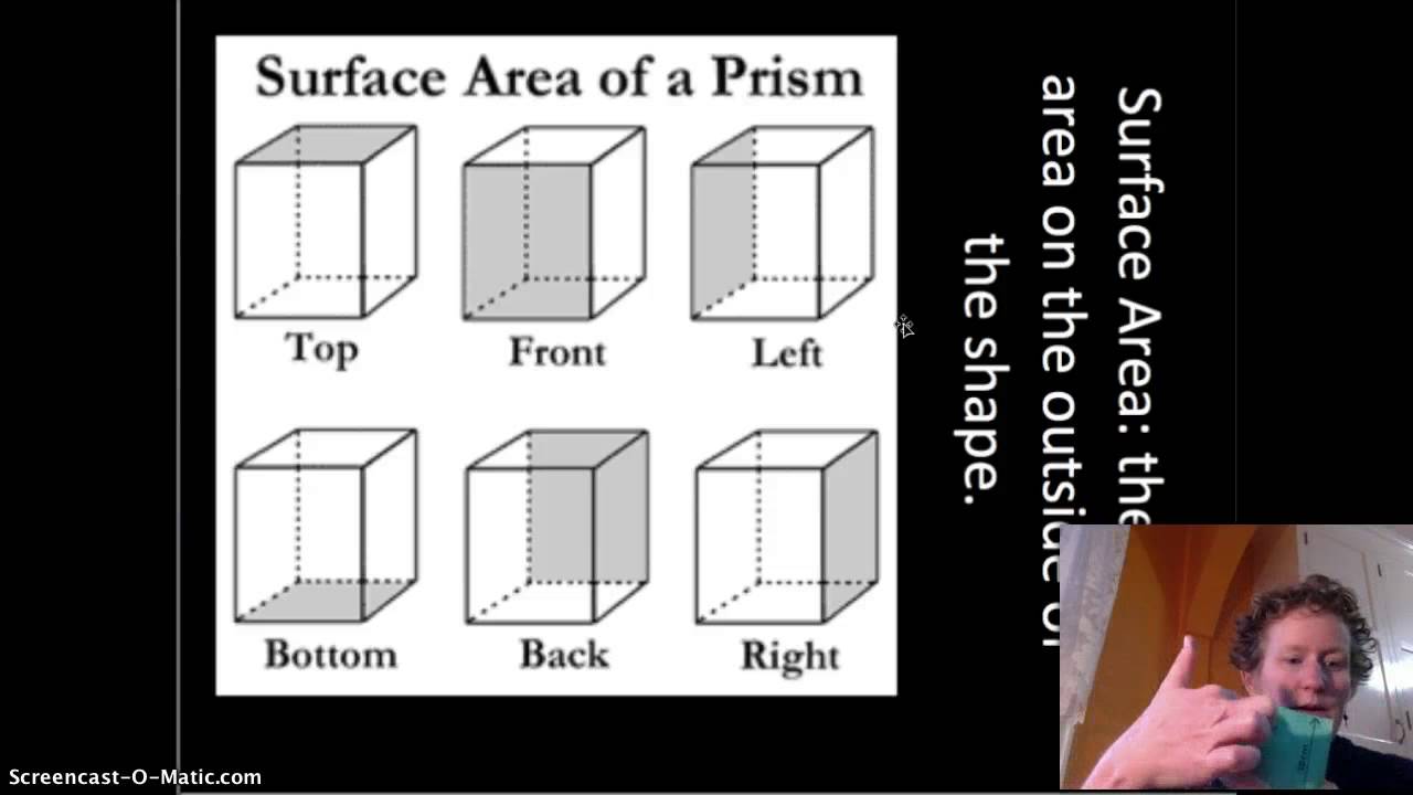 Lab 3.10 Modeling diffusion across cell membranes with agar, Part 1