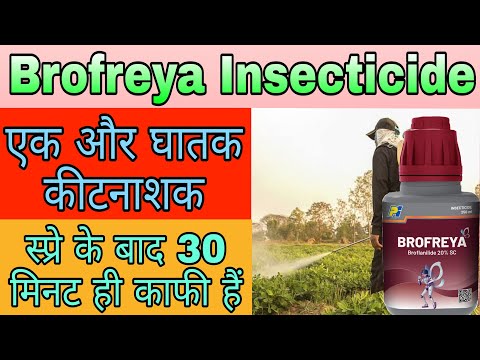 PI Insecticides - Latest Price, Dealers & Retailers in India