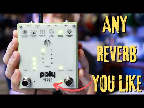 Poly Effects Verbs Convolution Reverb Pedal | Reverb UK