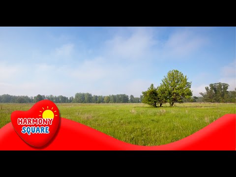 Exploring the Grasslands: Learn about plants and animals that live in grasslands across the world