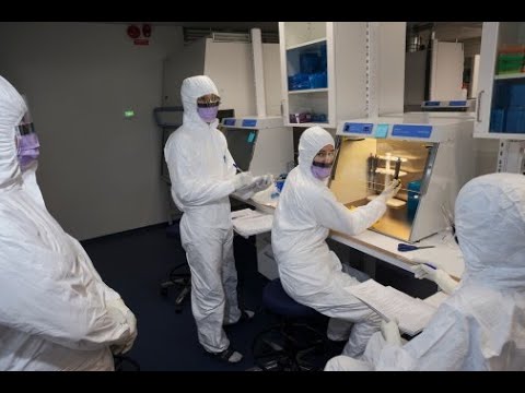 Paleogenetics with Dr. Todd Disotell – World of Paleoanthropology