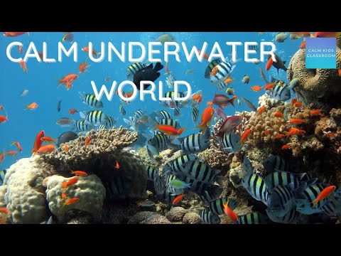 Quiet Classroom Music for Children - Aquarium - Relaxing music for children to be calm and focused