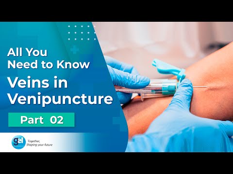 Anatomy of Phlebotomy I Venipuncture Procedure I Global Edulink