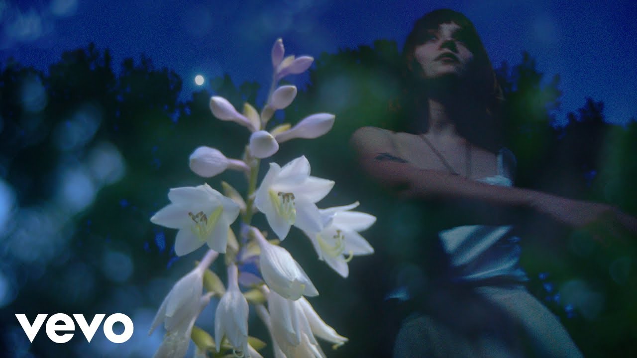 she's green - graze (Official)