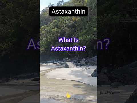 What Is Astaxanthin?