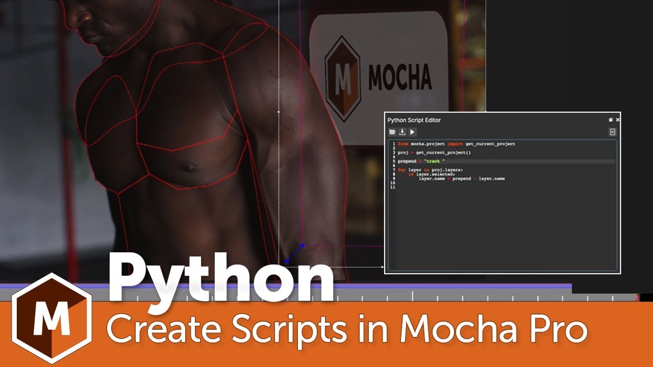 Creating Python Scripts in Mocha Pro