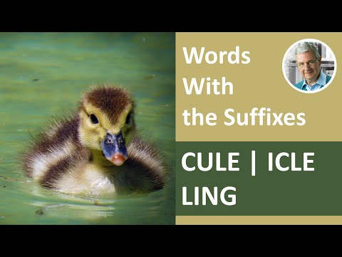 Words With the SUFFIX CULE, ICLE and LING (6 Examples)